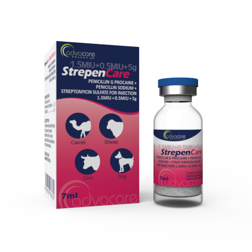Penicillin Liquid Penicillin G Procaine + Dihydrostreptomycin Sulfate