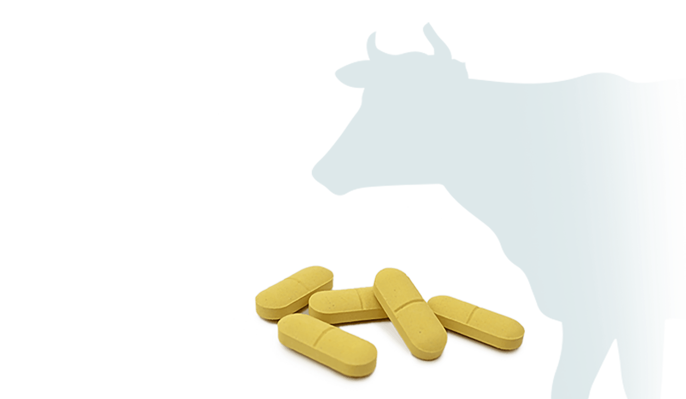 Manufacturer of Veterinary Boluses | AdvaCare Pharma