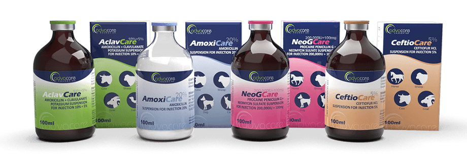 Manufacturer of Veterinary Suspension for Injection | AdvaCare Pharma