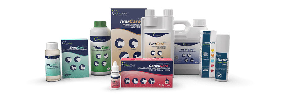 Manufacturer of Veterinary Solutions & Suspensions | AdvaCare Pharma