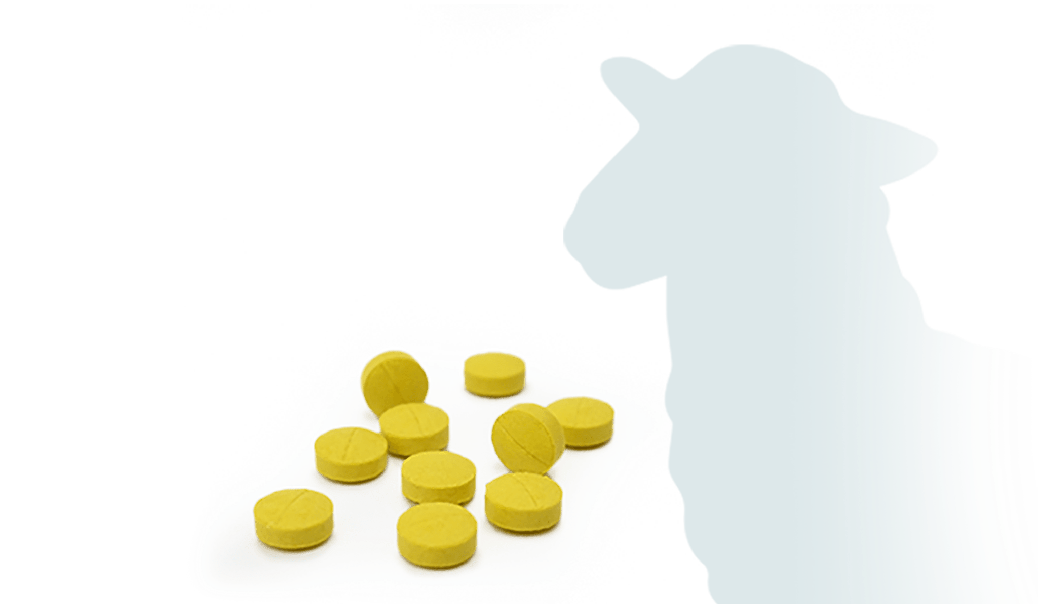 Manufacturer of Veterinary Tablets | AdvaCare Pharma