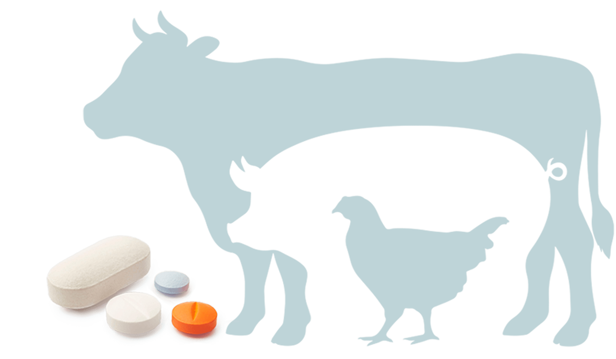 Veterinary Medicine for Pigs - Manufacturer | AdvaCare Pharma